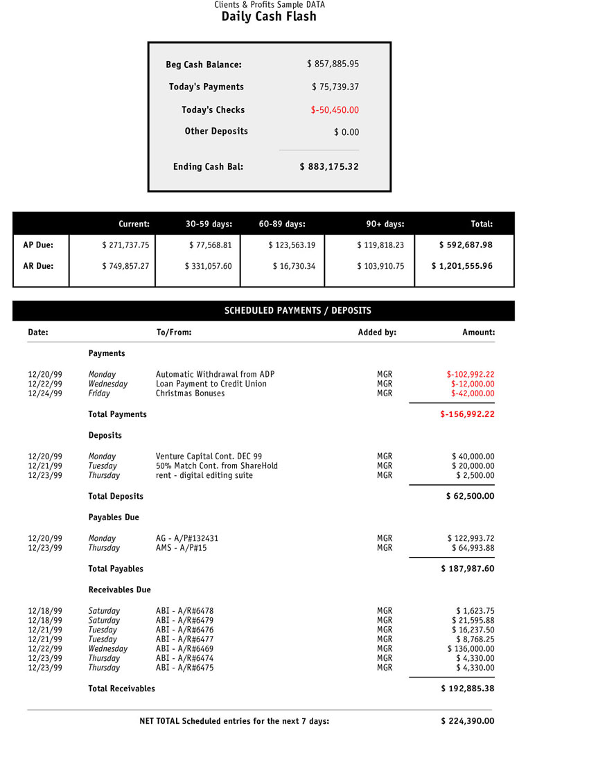 Clients & Profits X | Report-o-Matic